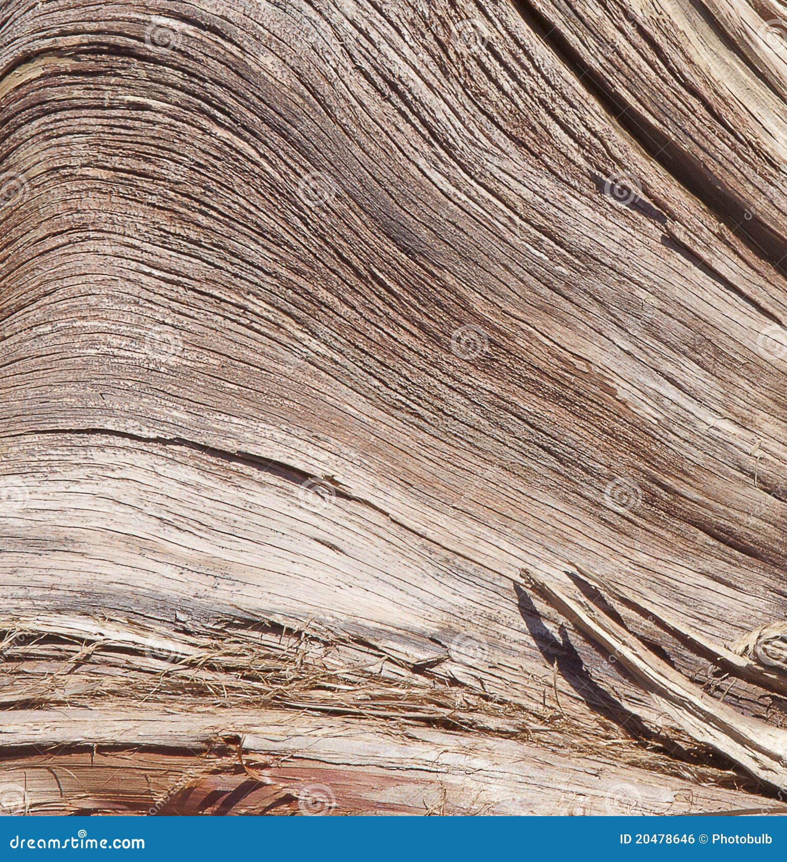 Wisdom in Weathered Wood stock photo. Image of desert - 20478646