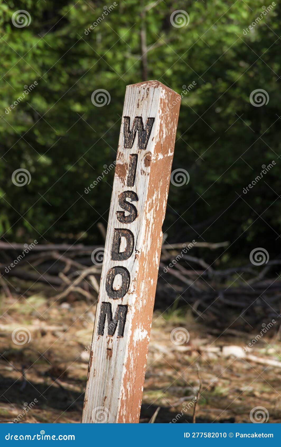 Wisdom stock photo. Image of wooden, wisdom, inspiration - 277582010