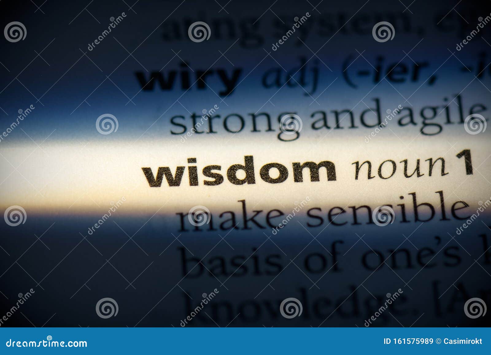 Wisdom stock image. Image of idea, concept, meaning - 161575989
