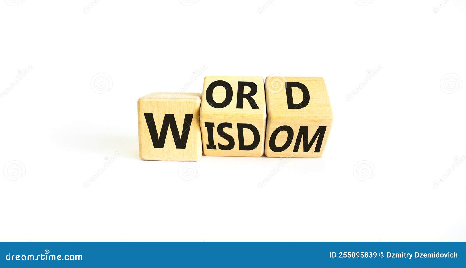 Wisdom Word Symbol Concept Words Wisdom Word On Wooden Cubes