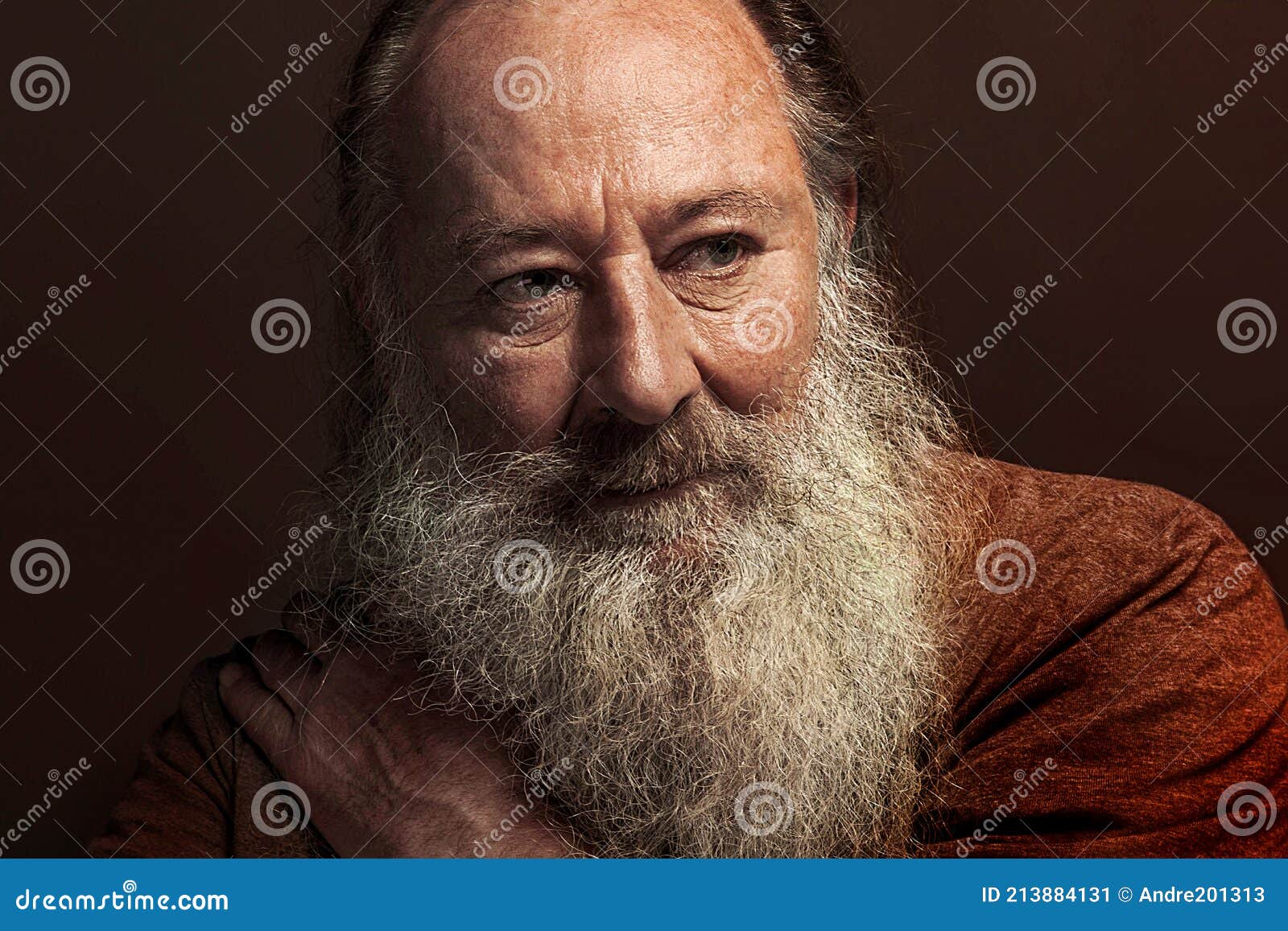 A Wise Old Man with a Long Gray Beard Stock Image - Image of issue ...