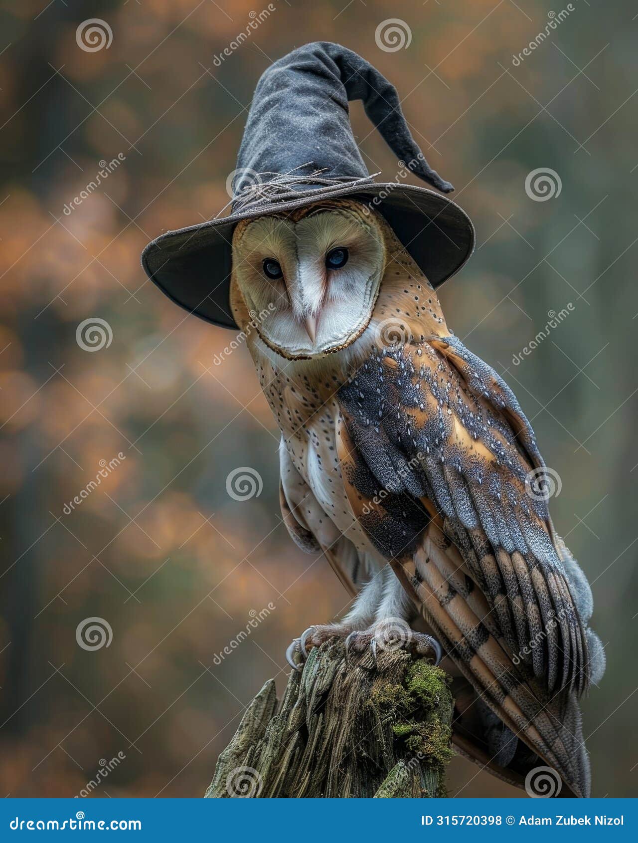 Wise Owl in Wizard Hat stock illustration. Illustration of sage - 315720398