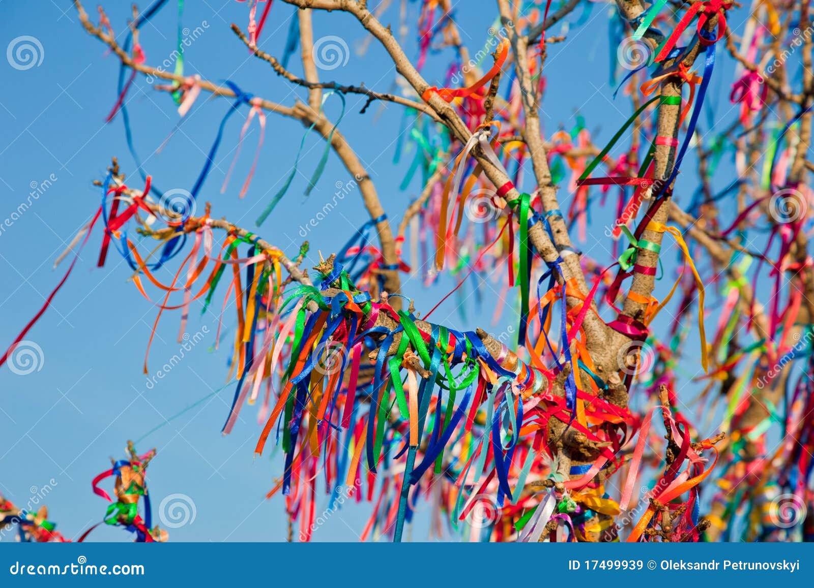 Wish Tree stock image. Image of orange, green, yellow - 17499939