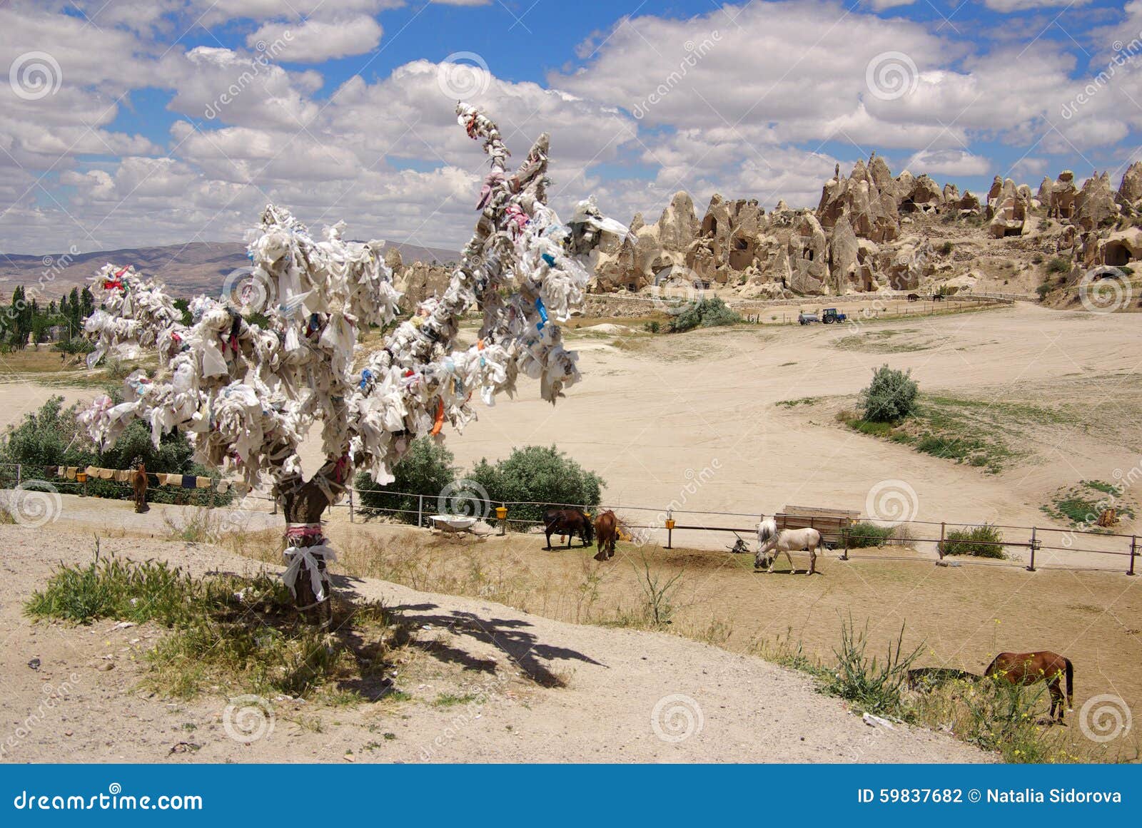 Wish Tree in Cappadocia editorial photography. Image of blue - 59837682