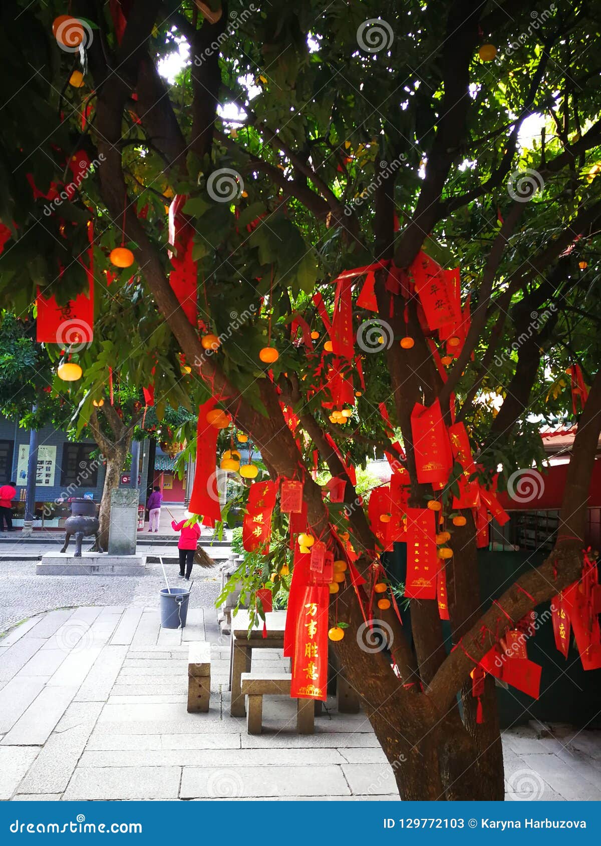 Wishing Tree