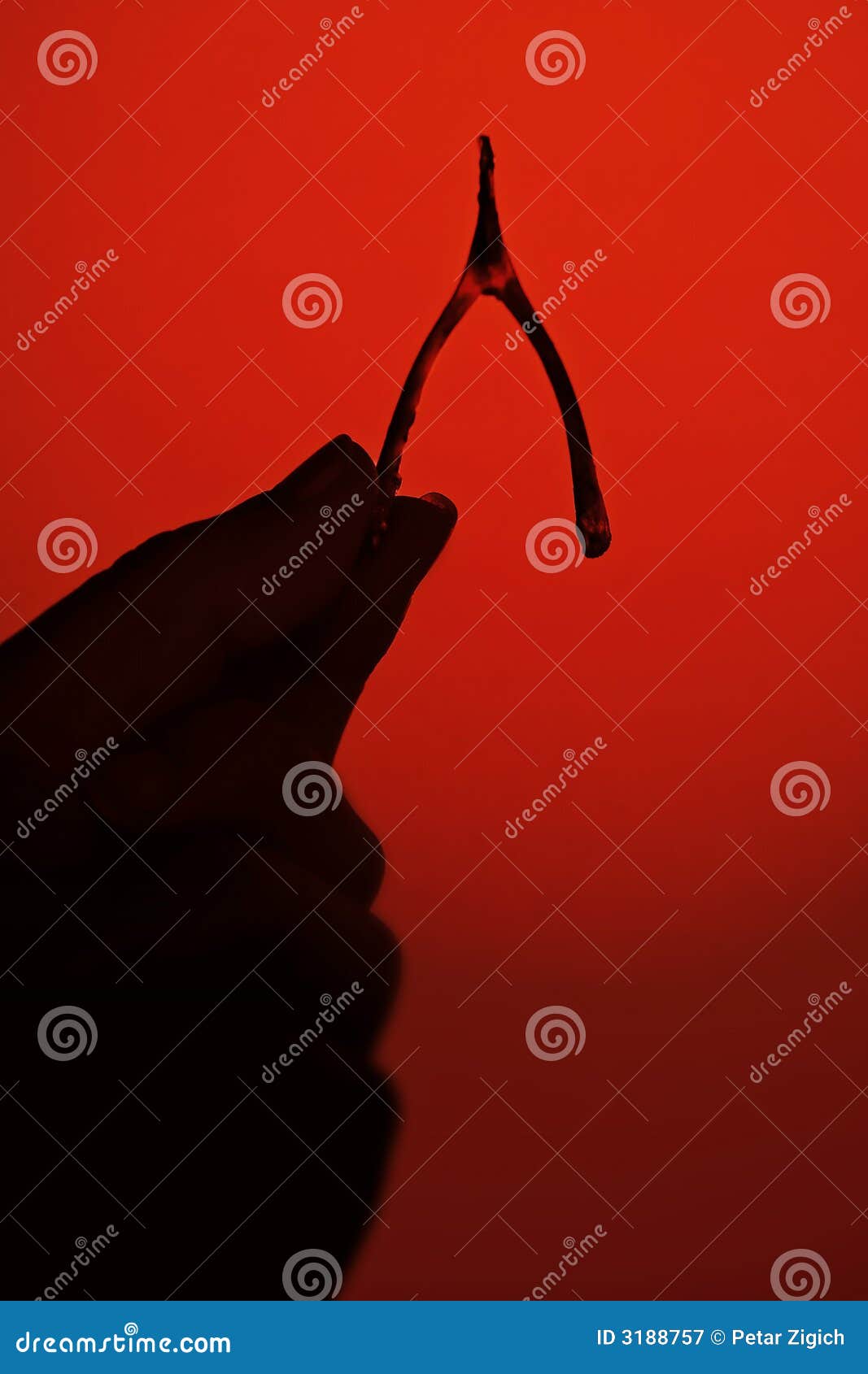 Wishbone stock image. Image of hope, stick, tradition - 3188757