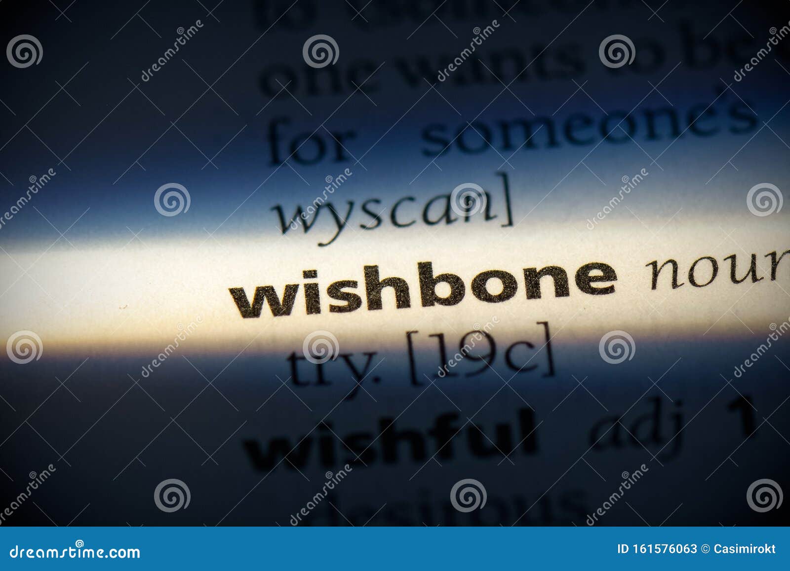 Wishbone stock image. Image of isolated, printed, education - 161576063