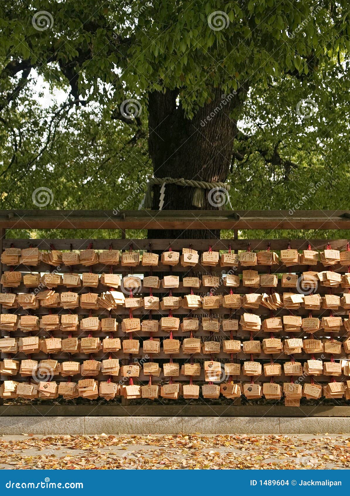 Wishes on a Tree in Tokyo Japan Stock Photo - Image of tree, travel ...