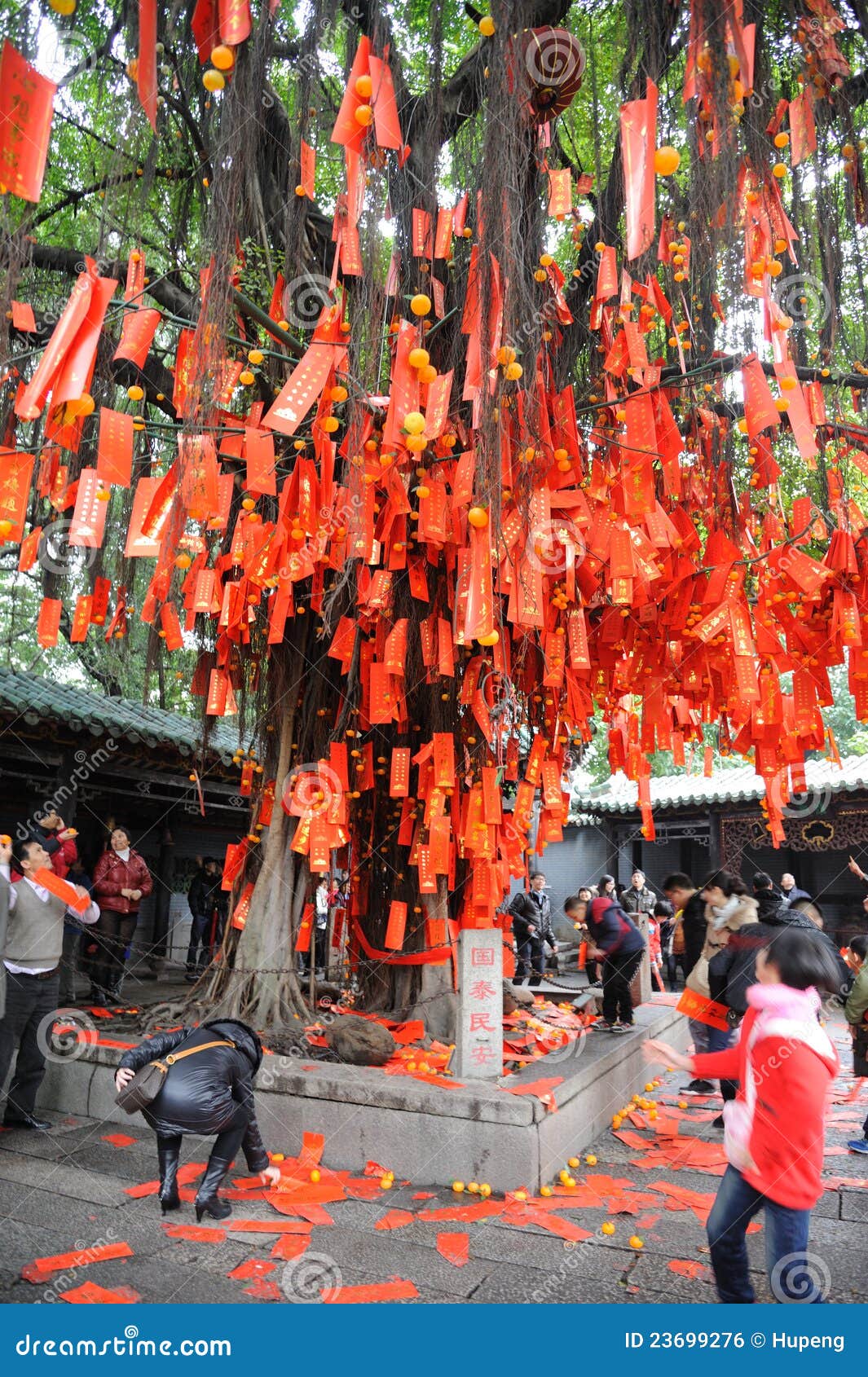 Wishing Tree editorial photo. Image of believe, ancient - 23699276