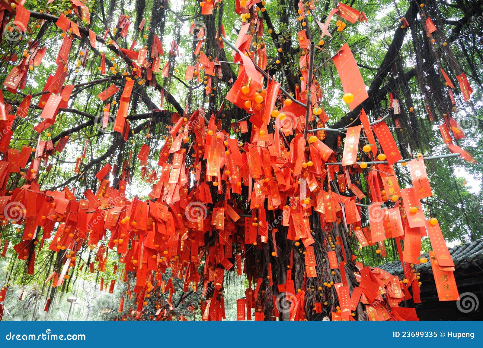 Wishing Tree editorial image. Image of custom, luck, auspiciousness ...