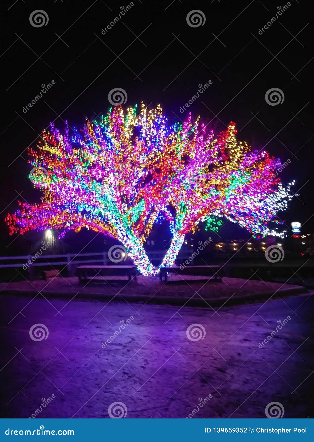 Wishing tree stock photo. Image of night, christmas - 139659352