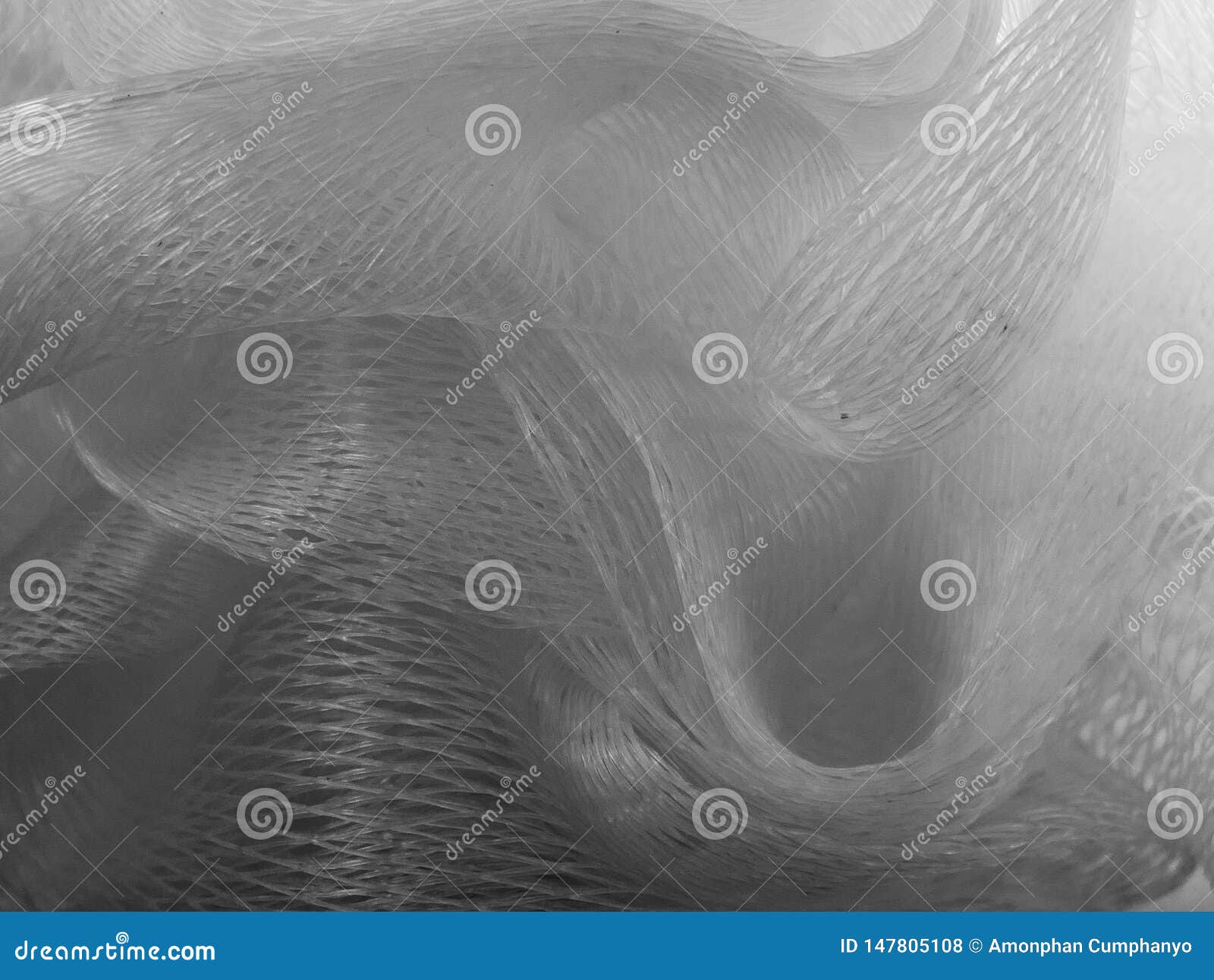 Wisp of Bast Texture. Rough, Bubble Shower Care Stock Photo - Image of ...