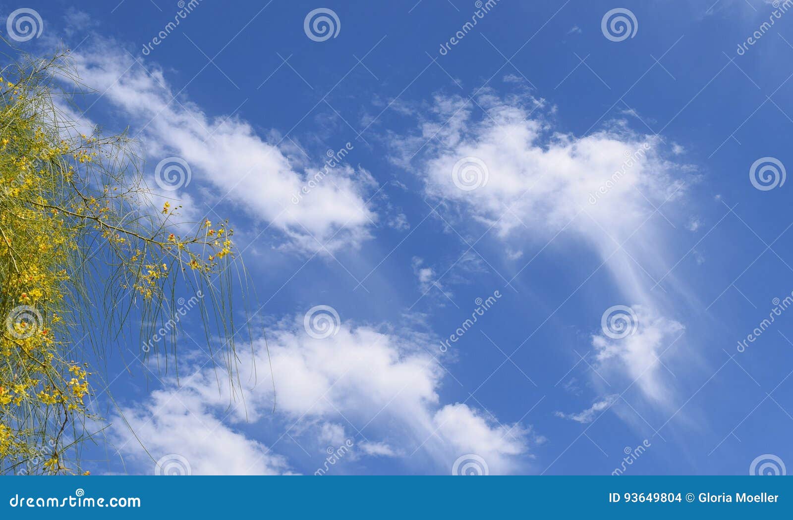 Wispy Cloud Tails in California Sky Stock Photo - Image of blue ...