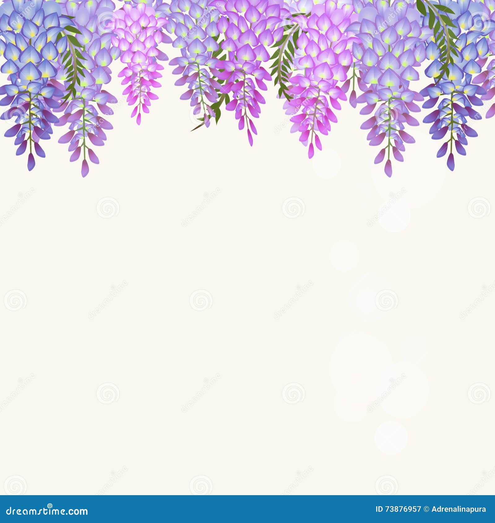 Wisteria frame stock illustration. Illustration of flowers - 73876957