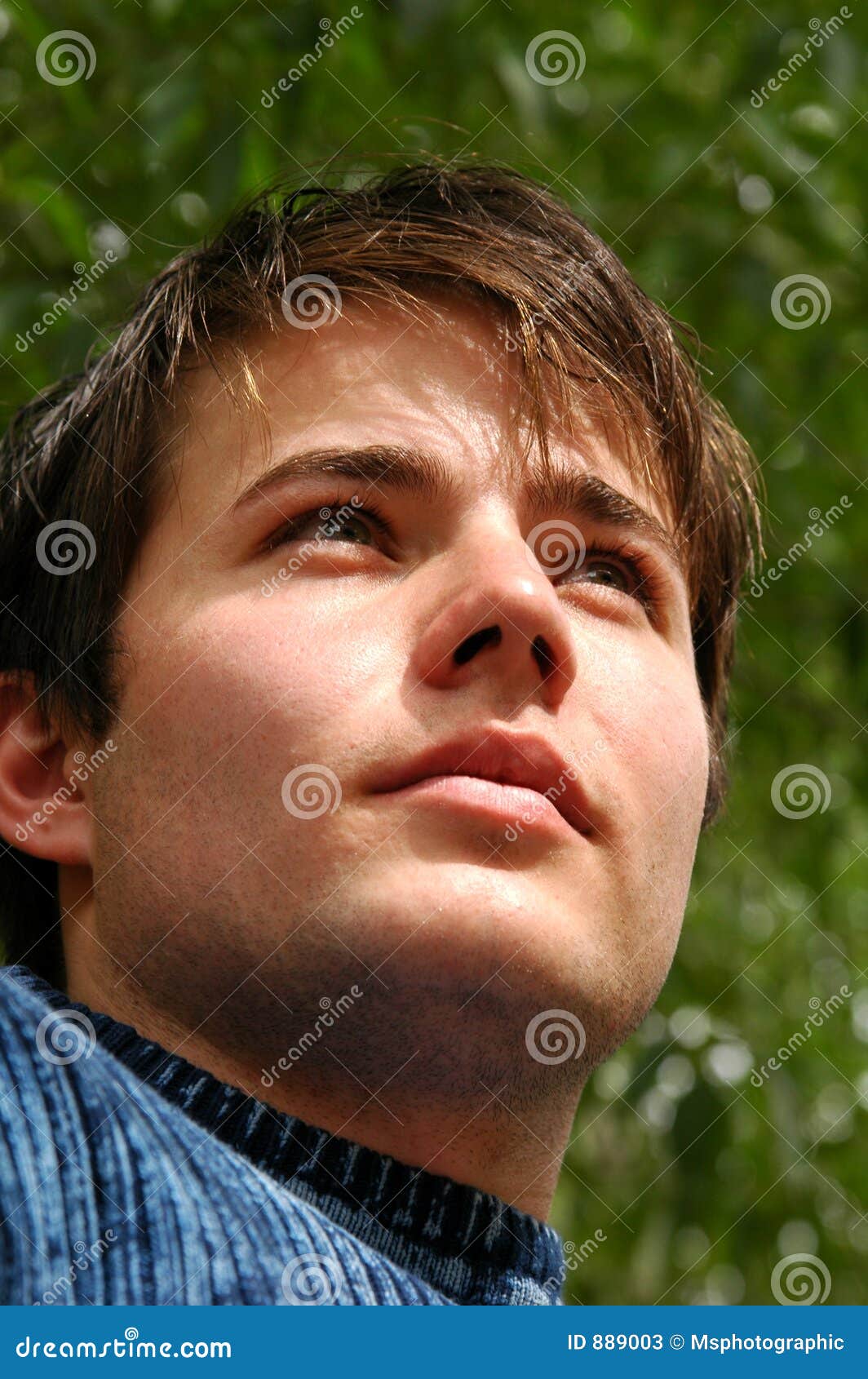 Wistful stock image. Image of dark, hair, afternoon, summer - 889003