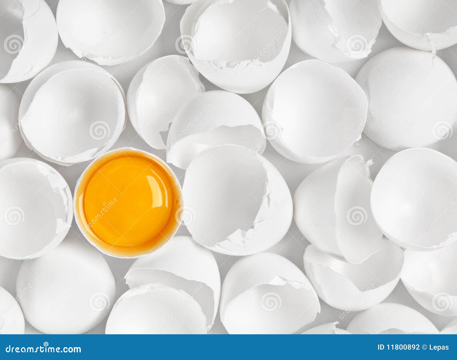 Wit ei met één dooier stock foto. Image of schelp, beeld - 11800892