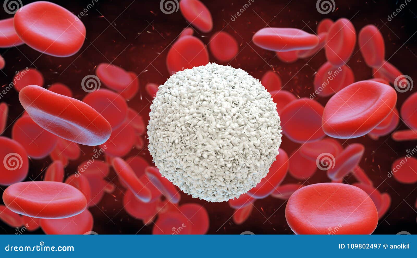 Wit En Rode Bloedcellen Leukocytes 3D Illustratie Stock Illustratie ...