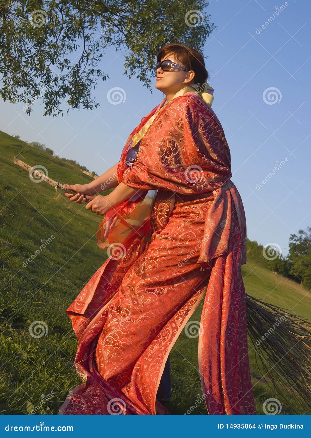 stock photo. Image of grass, hallows, hell, pagan, flying - 14935064