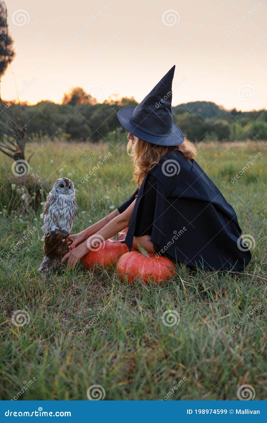 Witch alone at sunset stock image. Image of halloween - 198974599