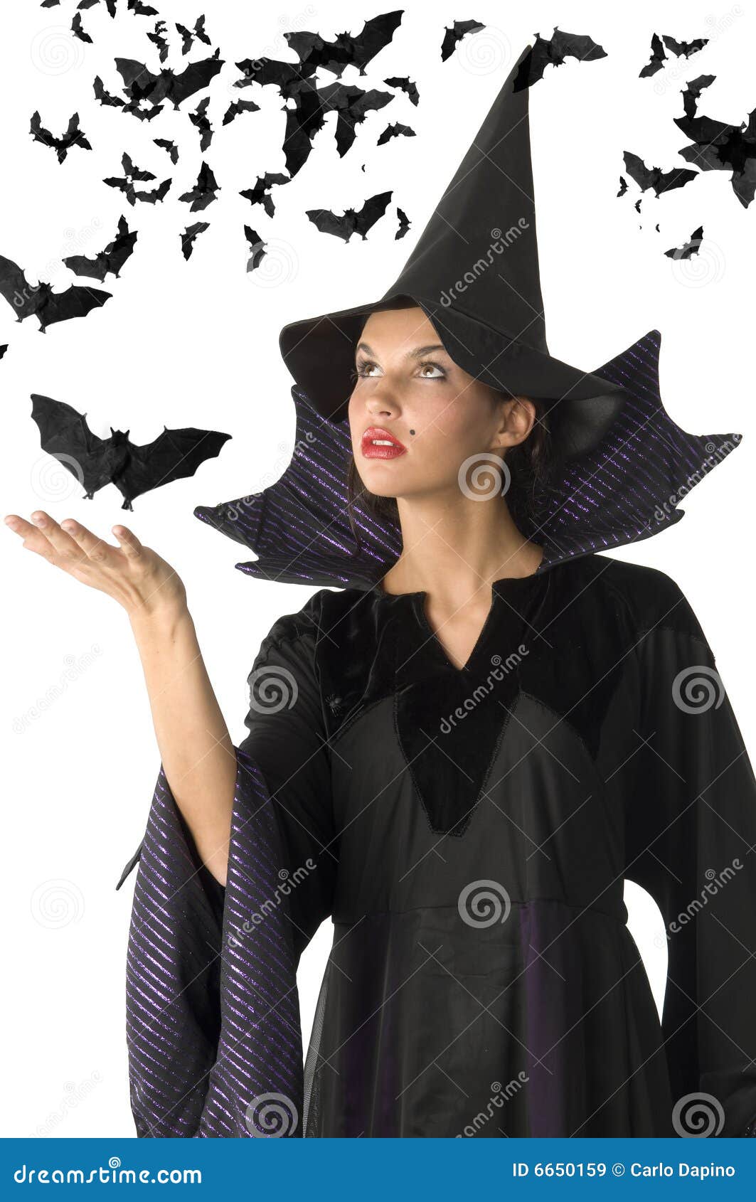 Witch and bat stock image. Image of haunted, adult, beauty - 6650159