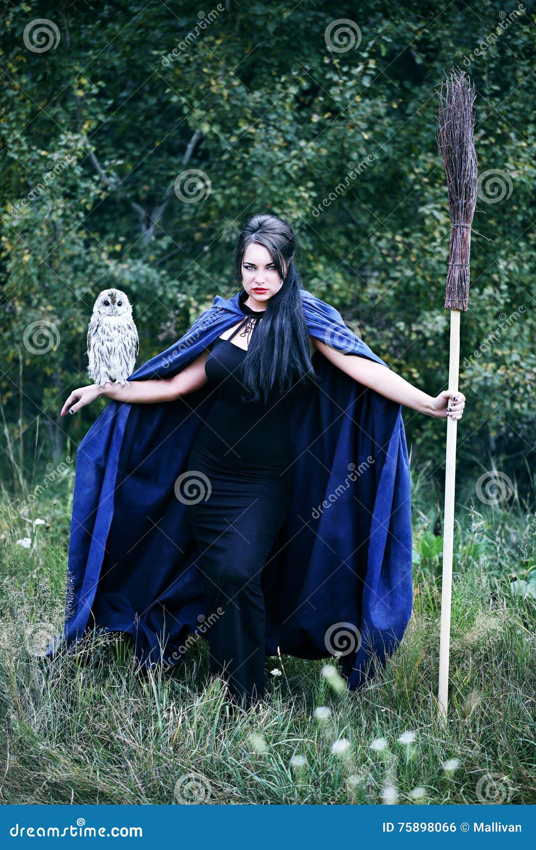 Witch with a Bird in the Forest Stock Photo - Image of magician ...