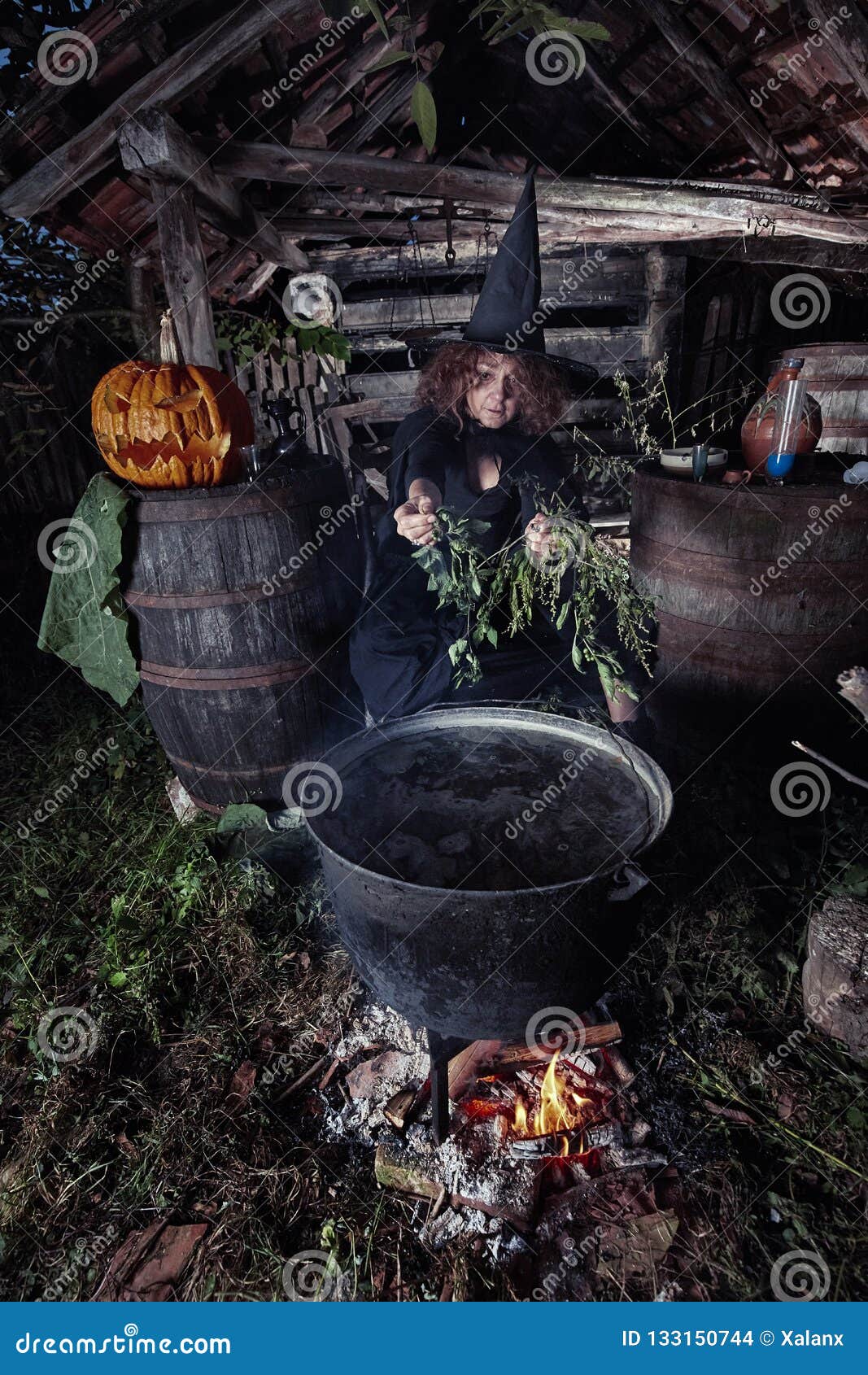 Witch boiling spells stock photo. Image of fantasy, figure - 133150744