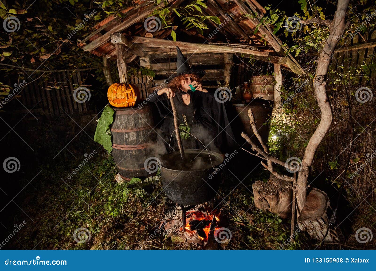Witch boiling spells stock photo. Image of fear, mysterious - 133150908