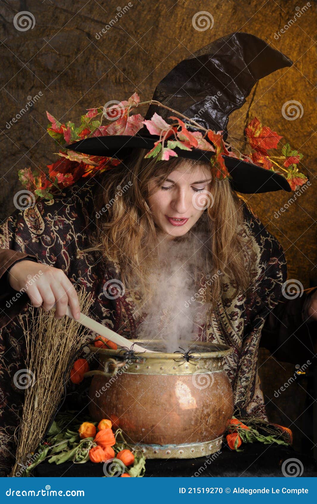 Witch Cooking in a Copper Cauldron Stock Photo - Image of witch ...