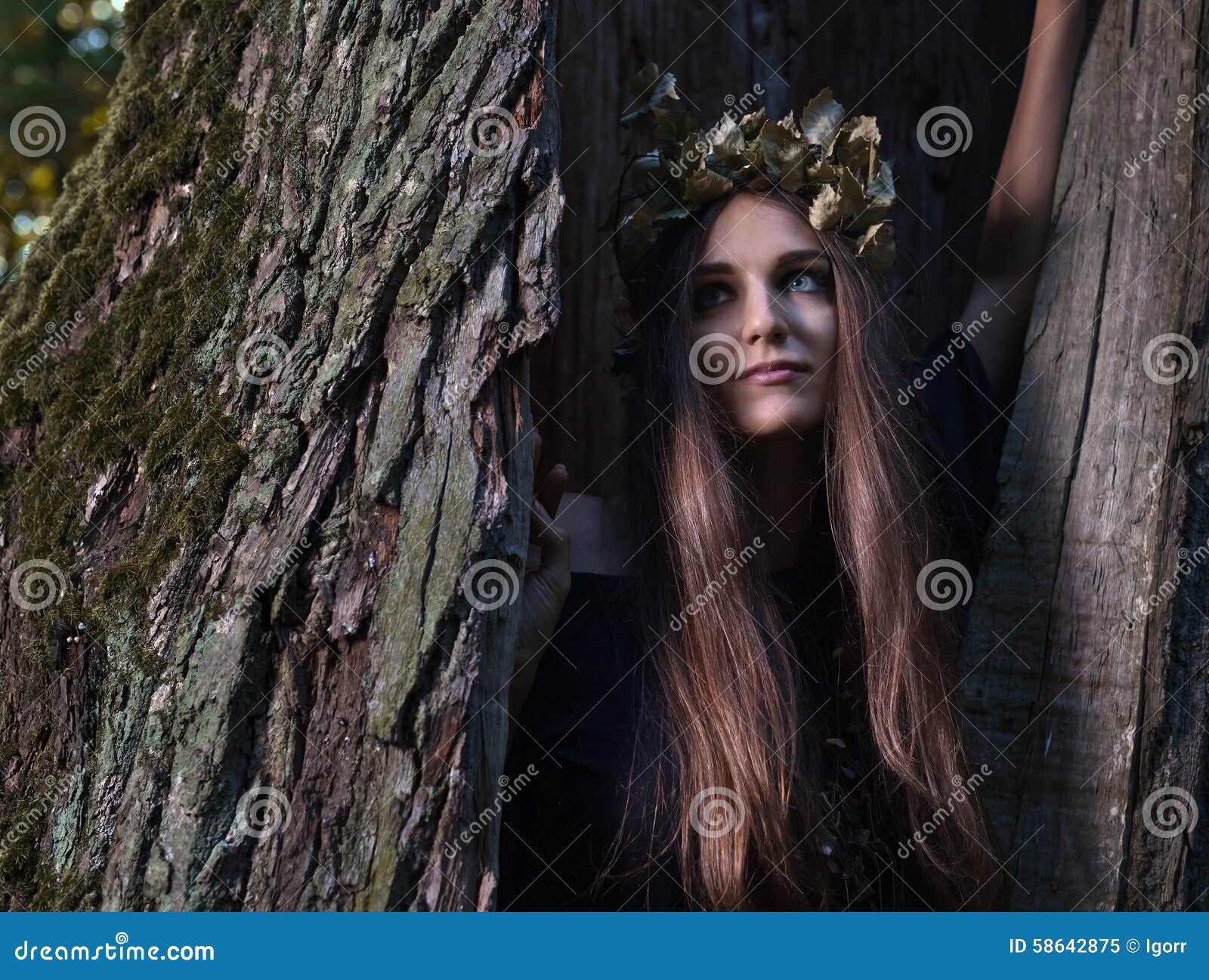 Witch in dark forest stock image. Image of mystery, female - 58642875