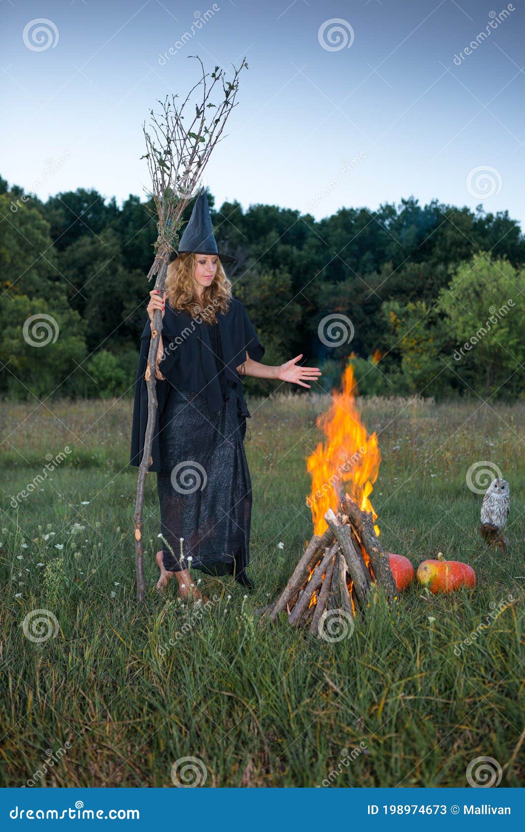 The Witch Stands by the Fire Stock Image - Image of mystery, dark ...