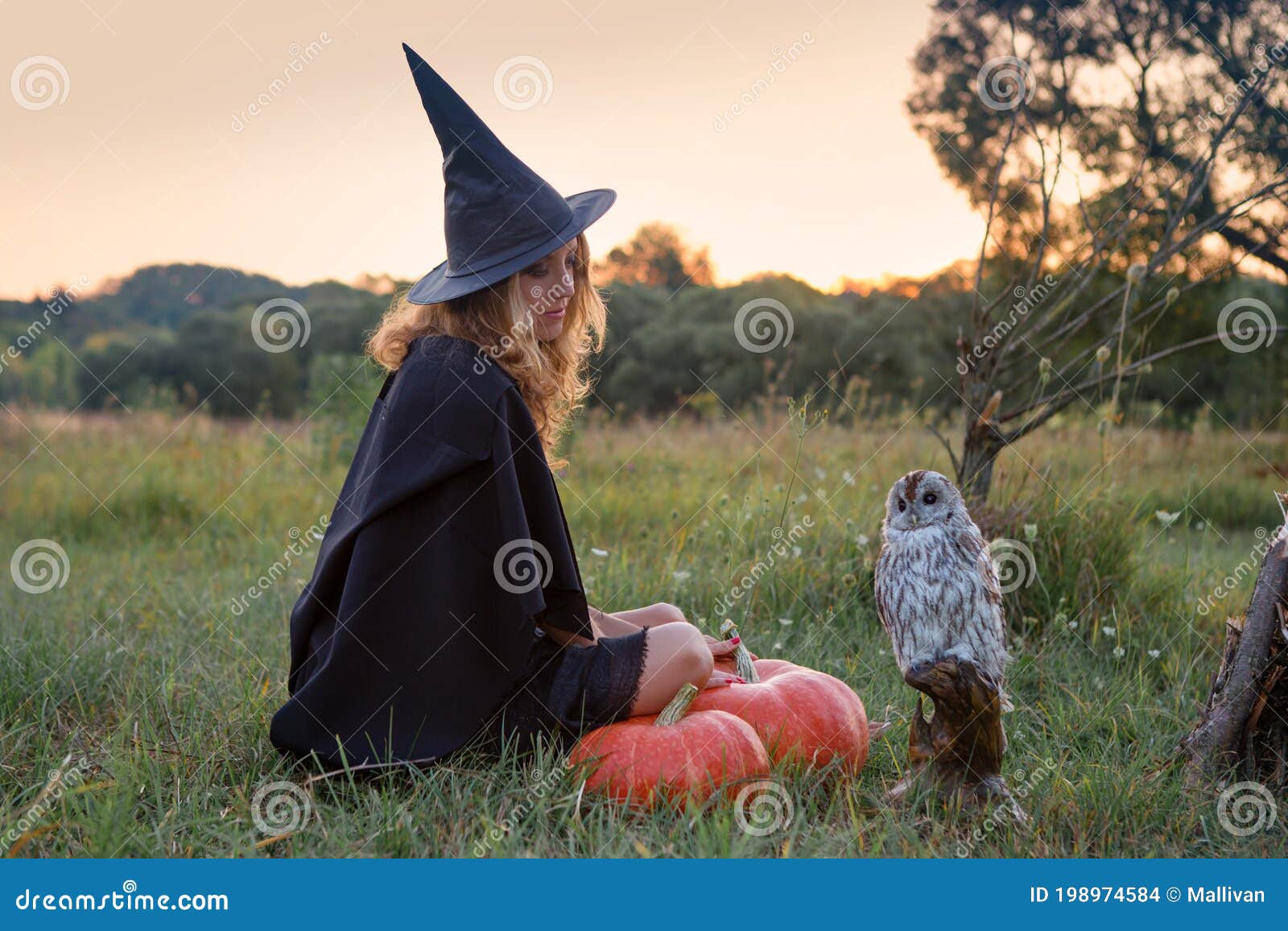 Witch in a field at sunset stock photo. Image of fantasy - 198974584