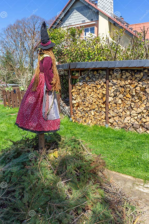 Witch fire in the garden stock photo. Image of gardening - 276659254