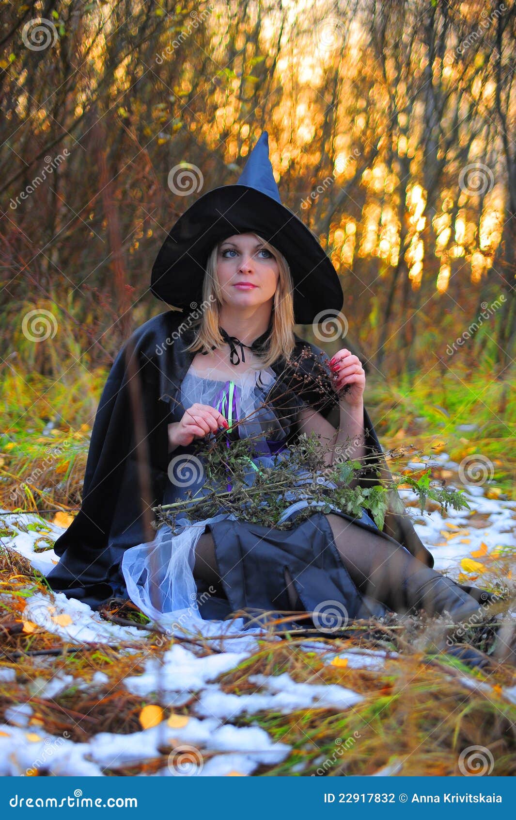 Witch in the forest stock photo. Image of fantastic, boiling - 22917832