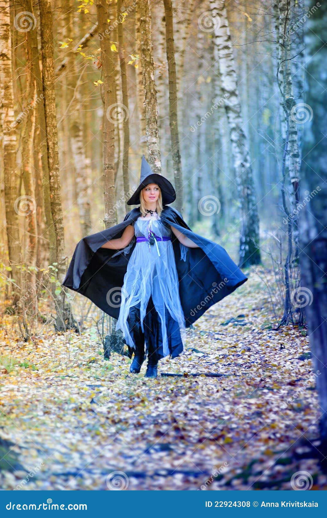 Witch in the forest stock photo. Image of bubbling, bright - 22924308
