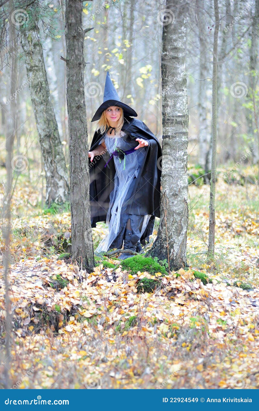 Witch in the forest stock image. Image of candle, cast - 22924549