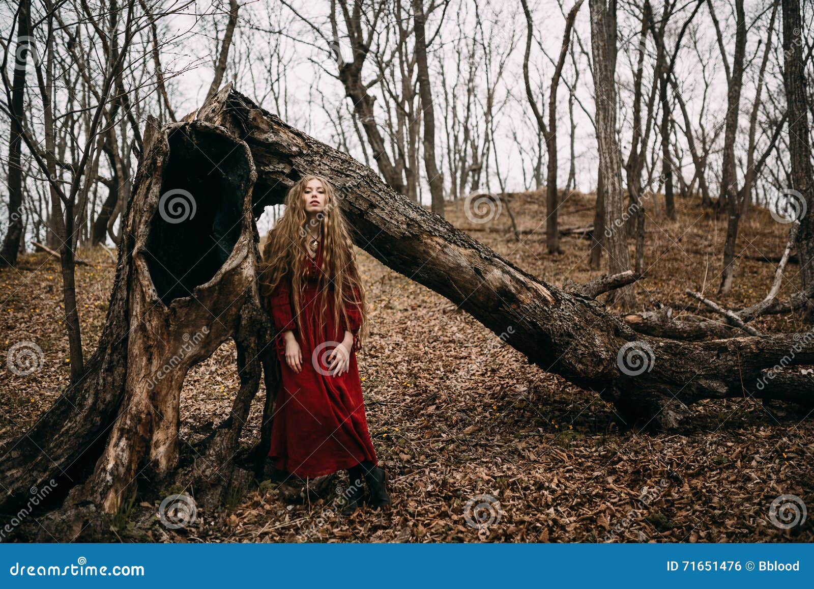 Witch in forest stock photo. Image of female, autumn - 71651476