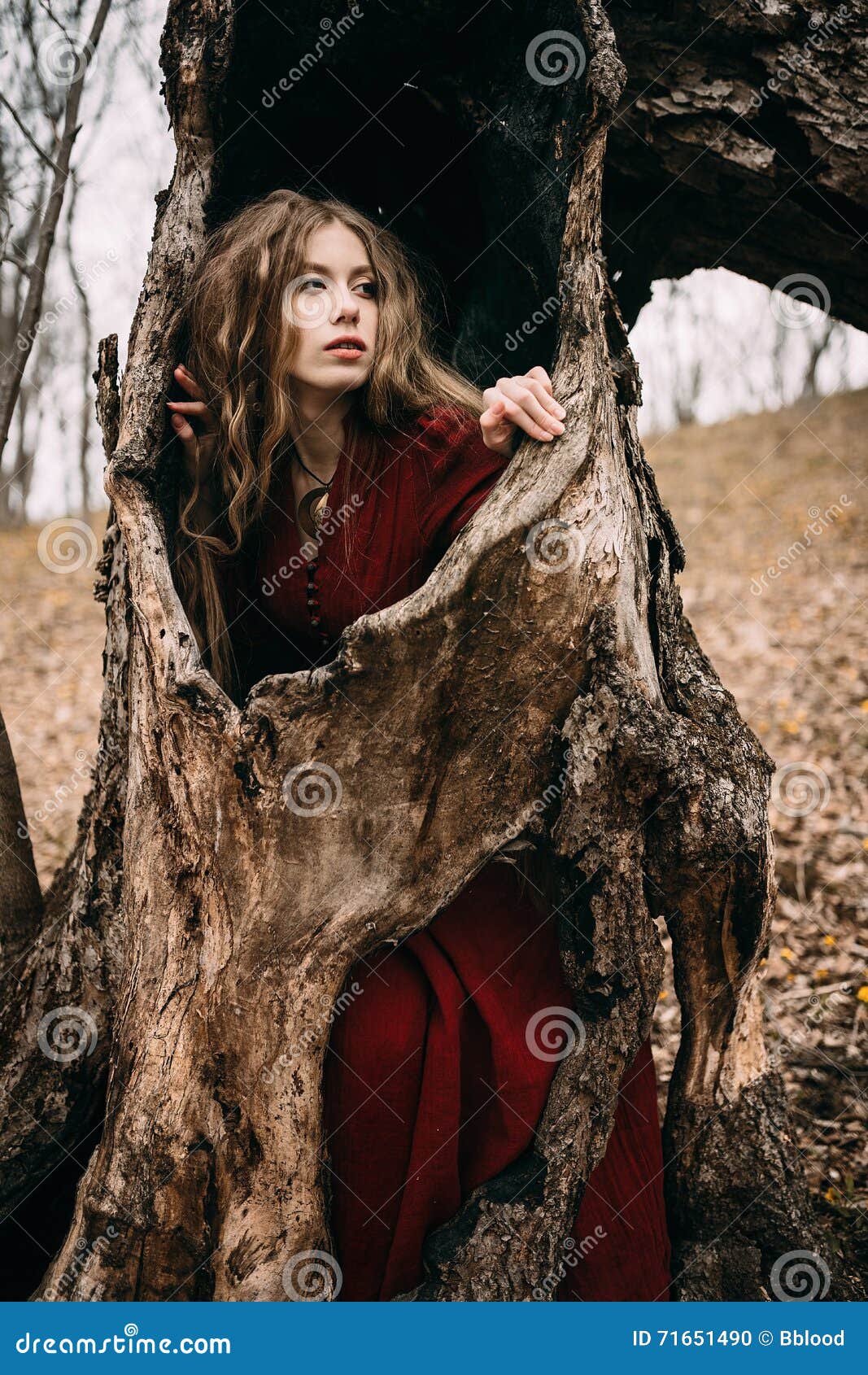 Witch in forest stock photo. Image of nature, season - 71651490