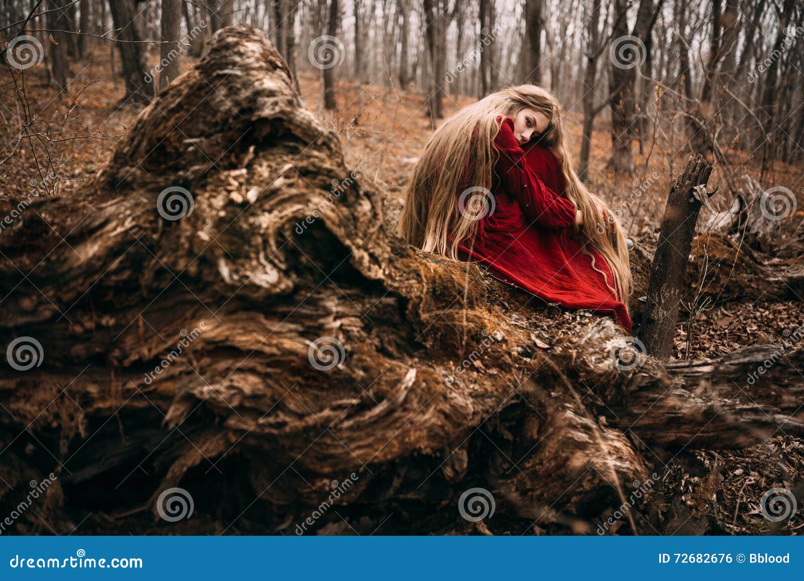 Witch in forest stock photo. Image of legend, myth, calm - 72682676