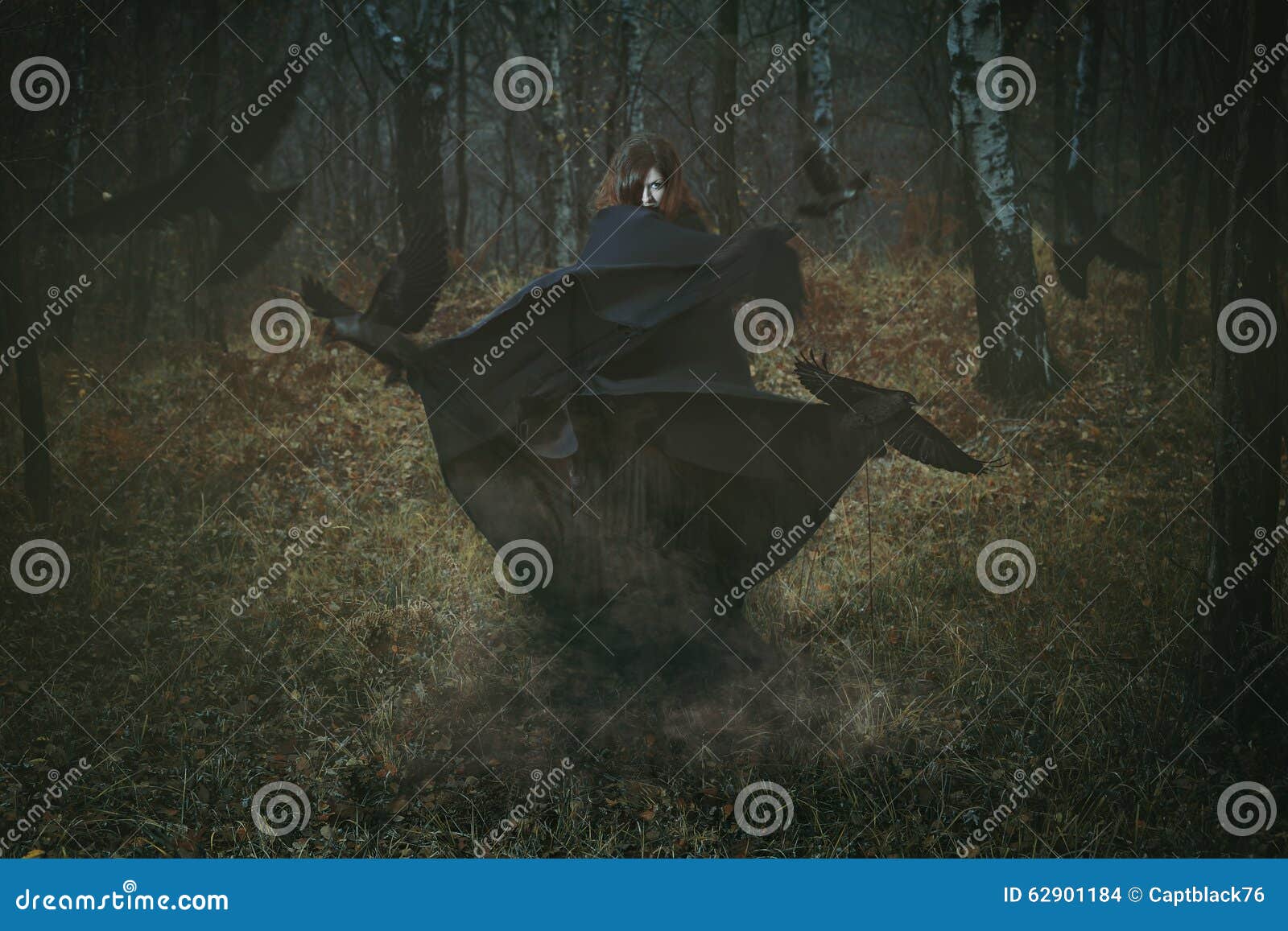Witch of the Forest with Her Crows Stock Photo - Image of nightmare ...