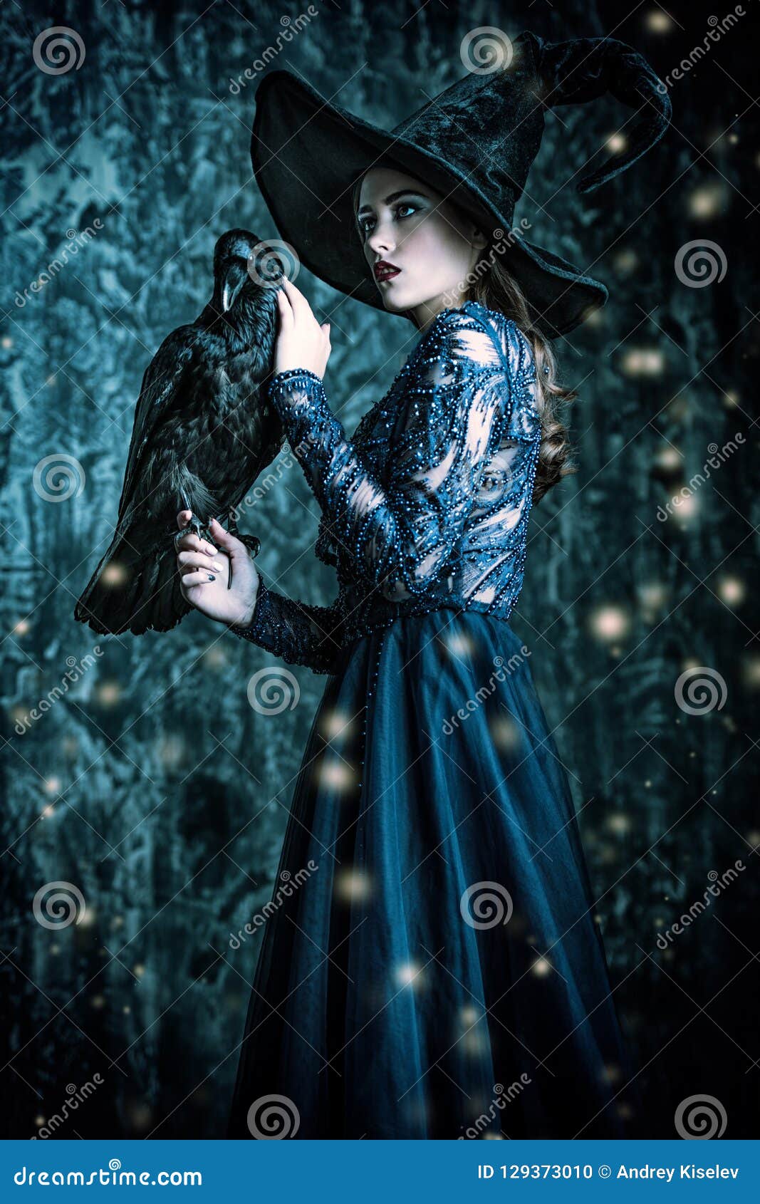 Raven and witch stock photo. Image of dark, festival - 129373010