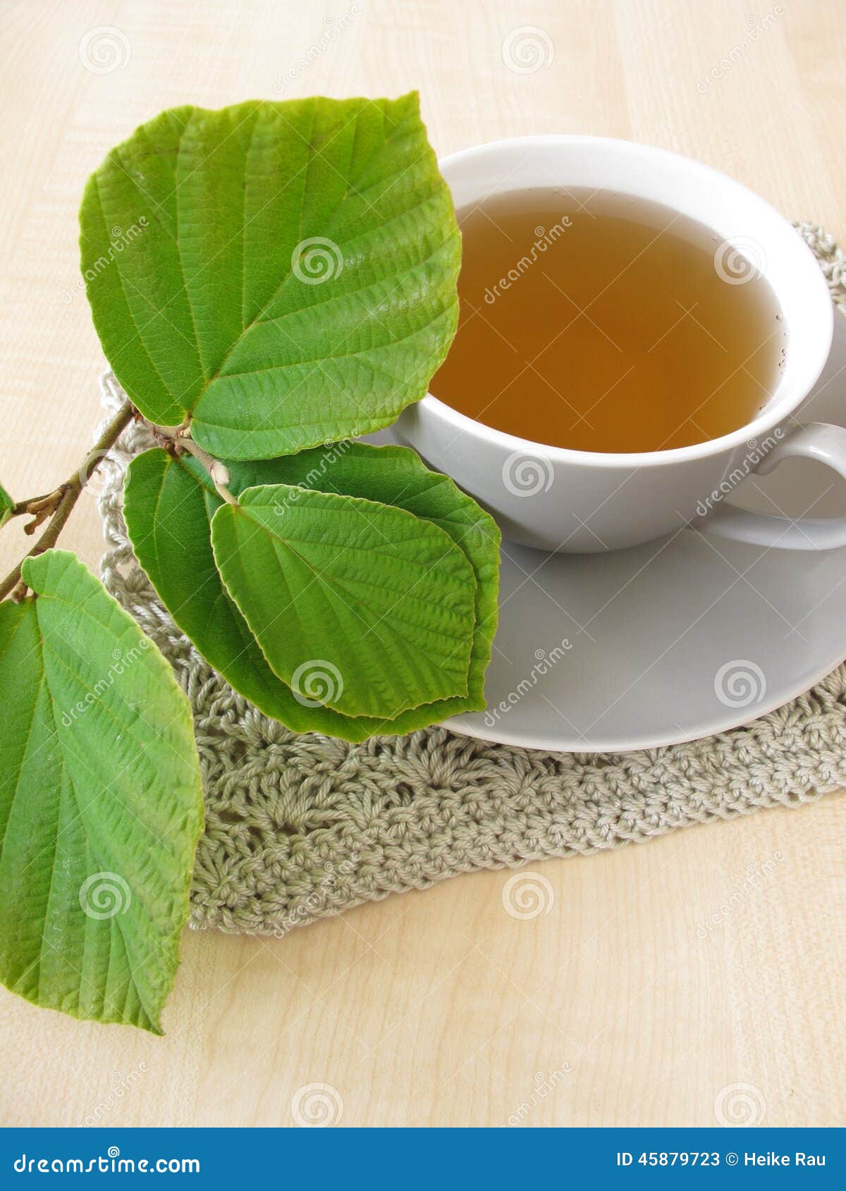Witch hazel tea stock image. Image of hazel, herbal, infusion - 45879723