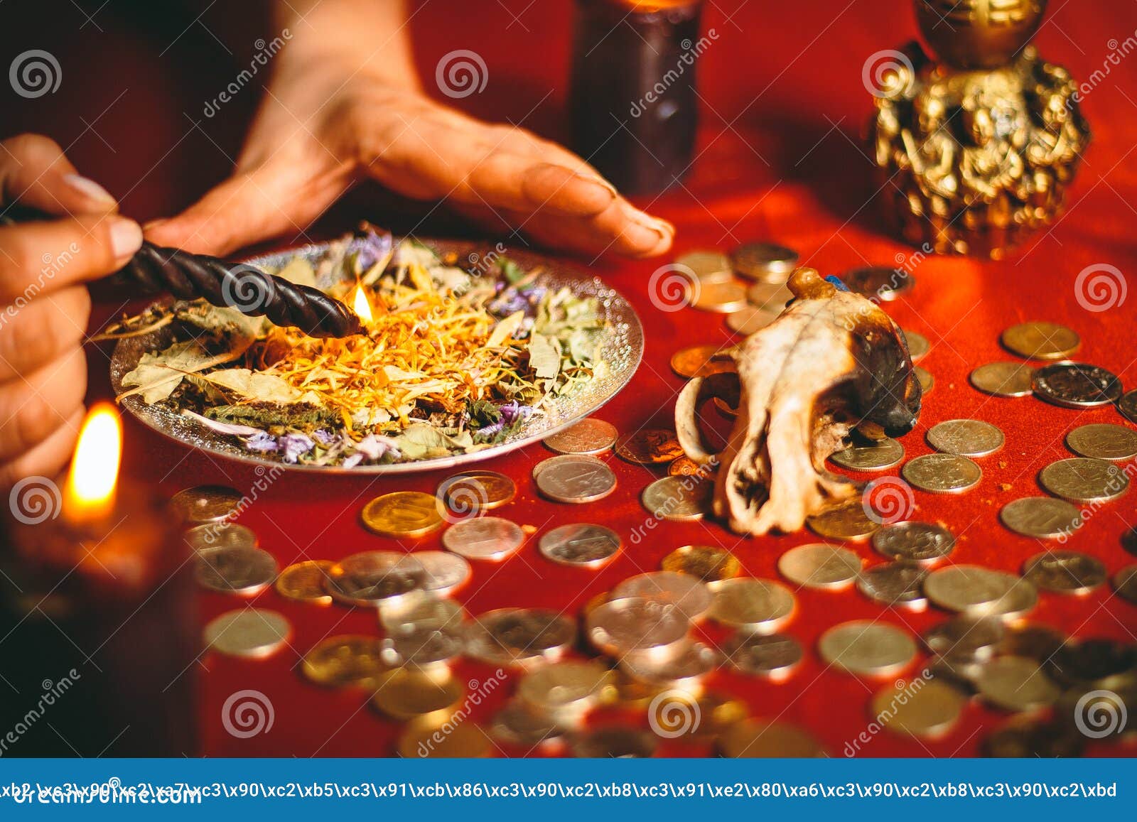 A Witch Holds a Ritual for Money Stock Photo - Image of damage, curse ...