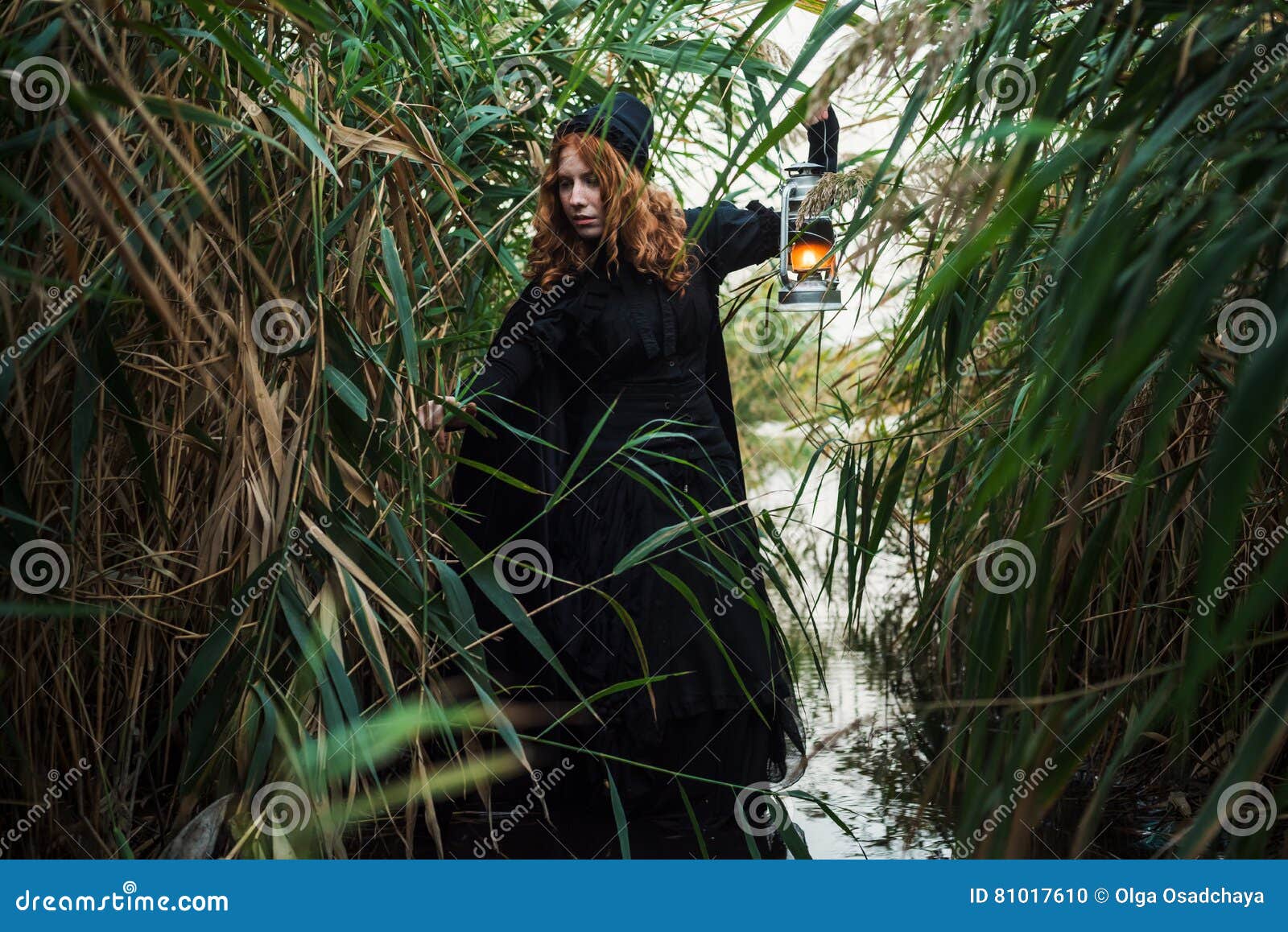 Witch with Light on a Swamp Stock Photo - Image of magic, lake: 81017610