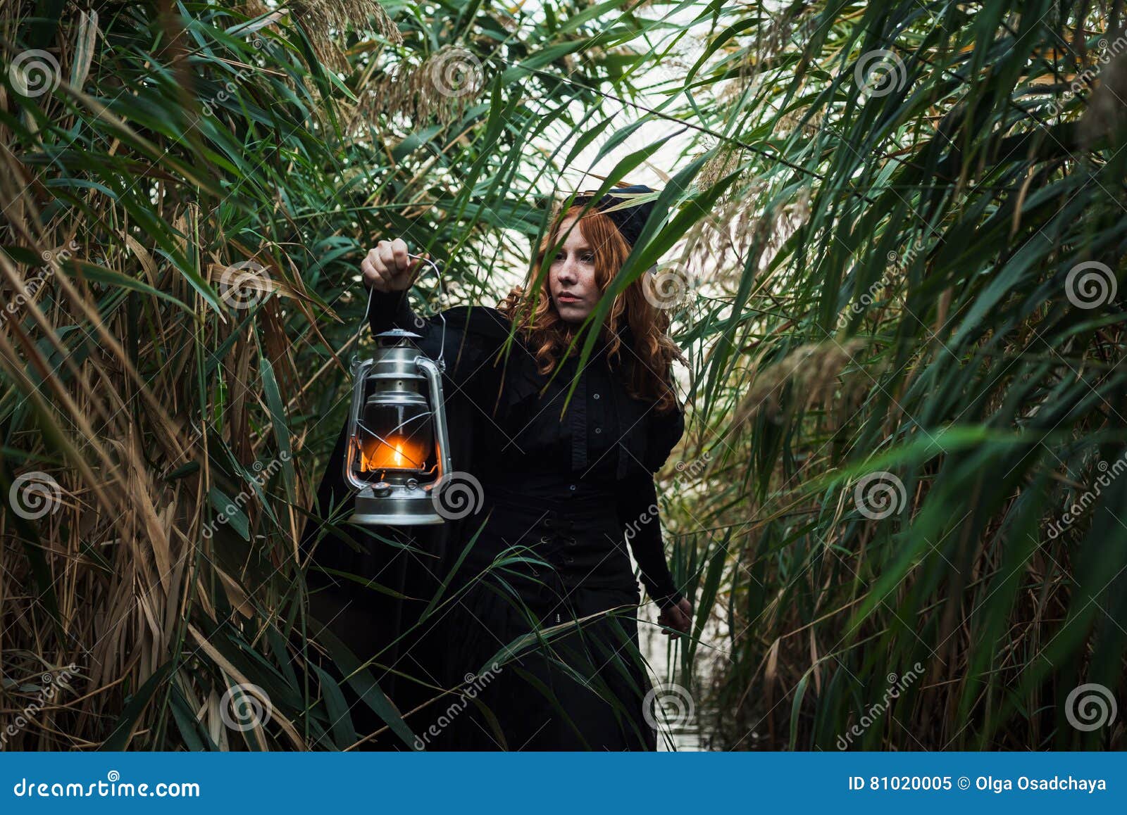 Witch with Light on a Swamp Stock Image - Image of person, practicing ...