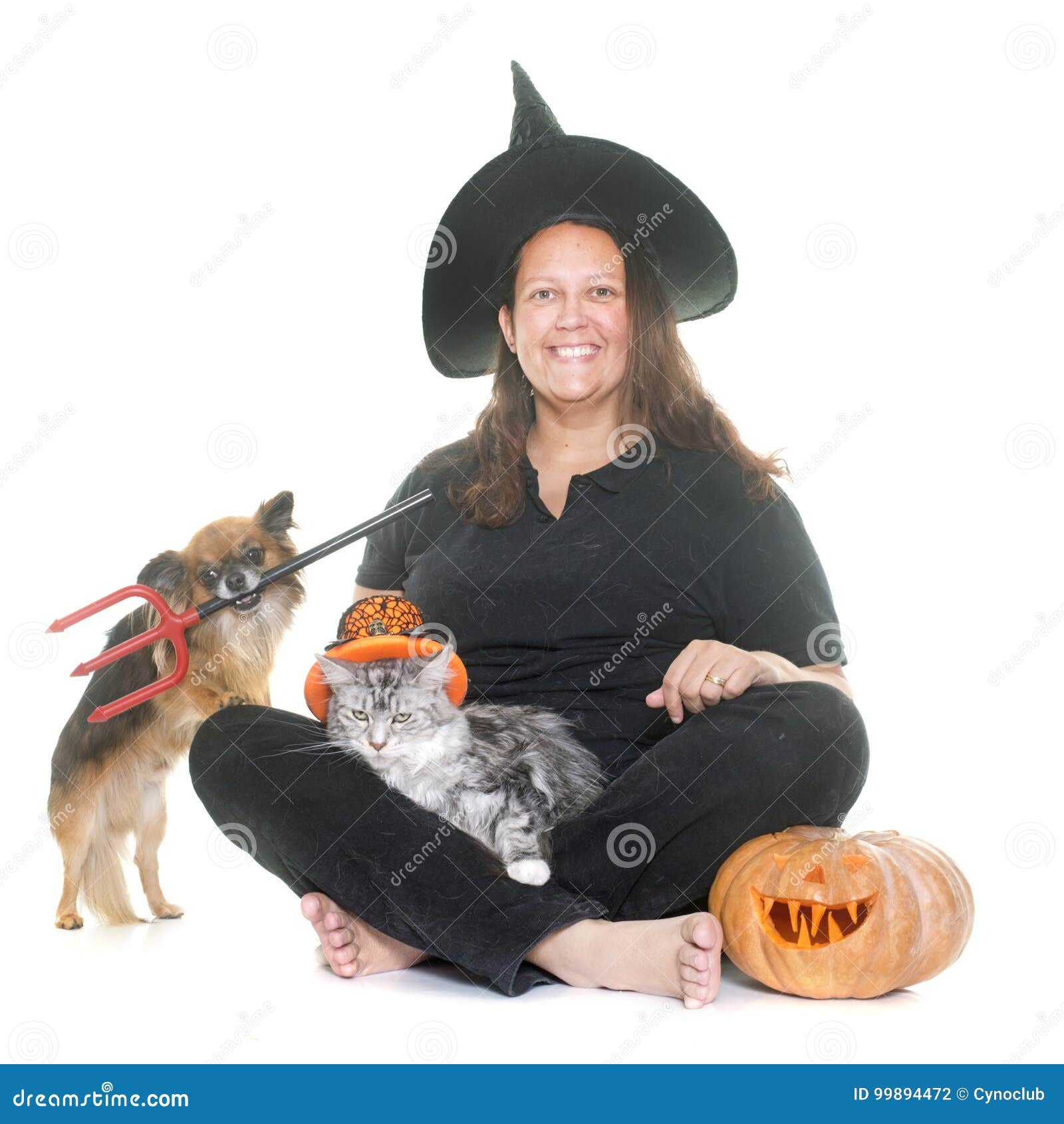 Witch and pet stock photo. Image of isolated, evil, studio - 99894472