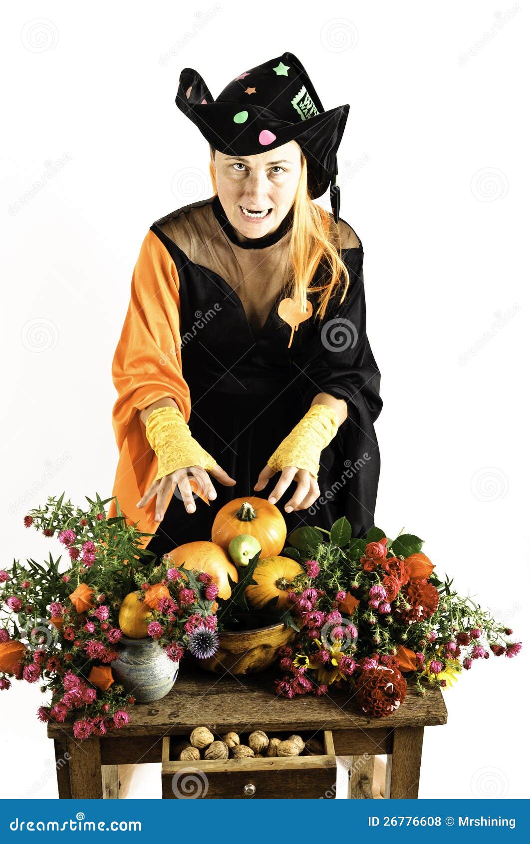Witch and Pumpkins and Flowers Stock Photo - Image of carnival, devil ...