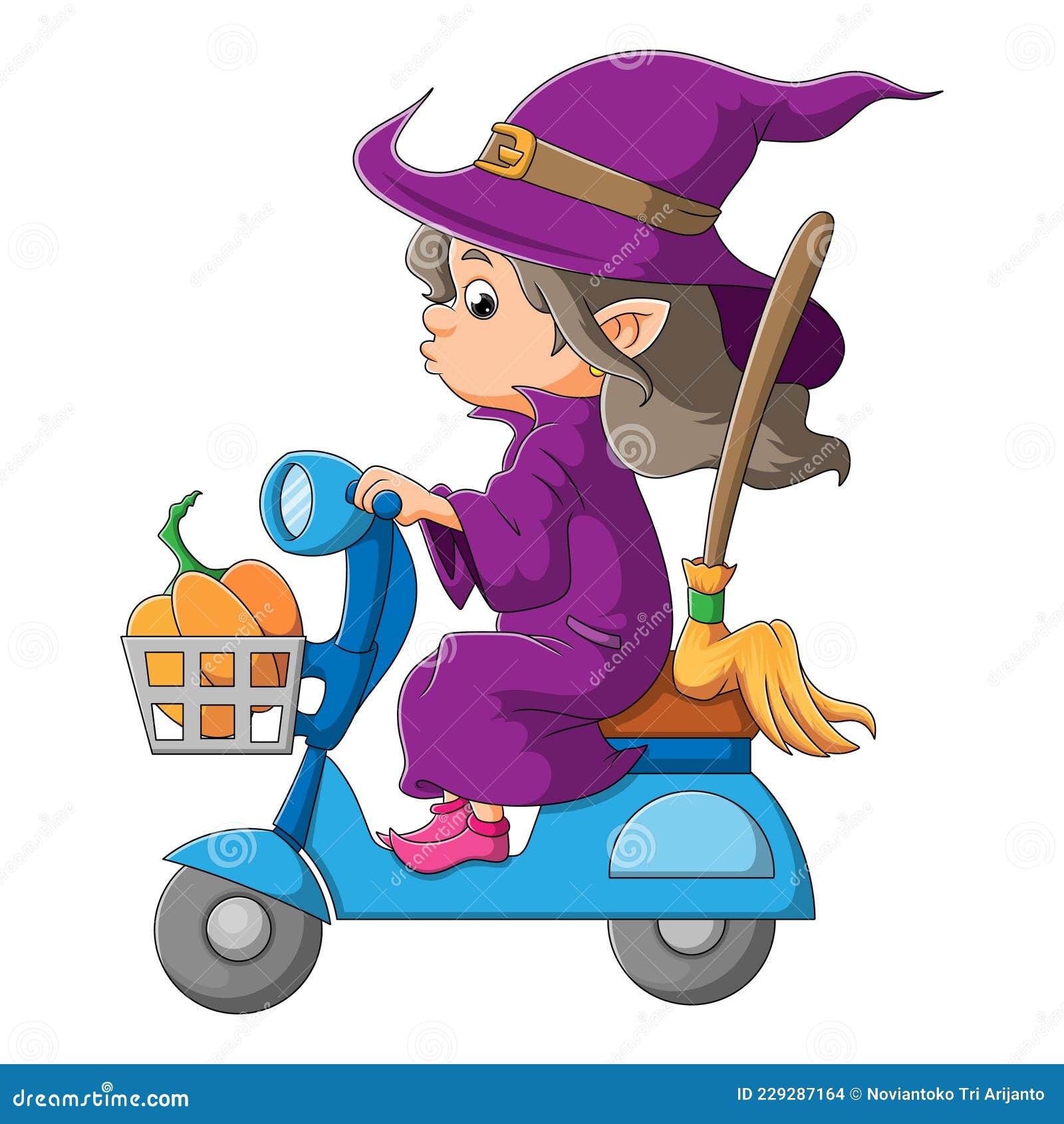 The Witch is Riding a Motorcycle with Pumpkin in the Basket Stock ...