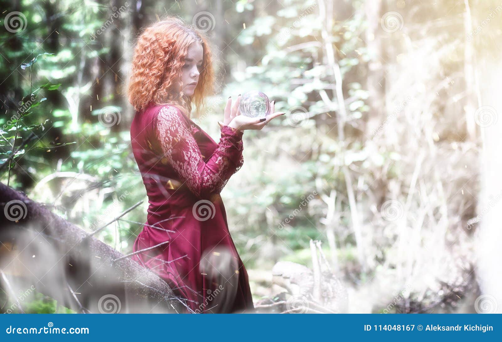 Witch ritual in a forest stock image. Image of horror - 114048167