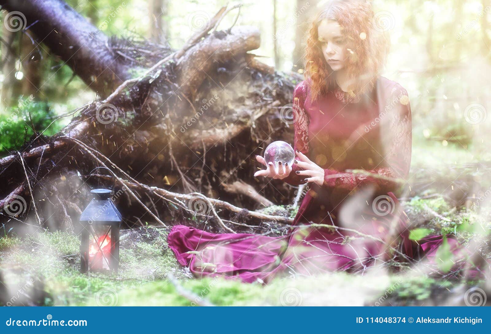Witch ritual in a forest stock photo. Image of adult - 114048374