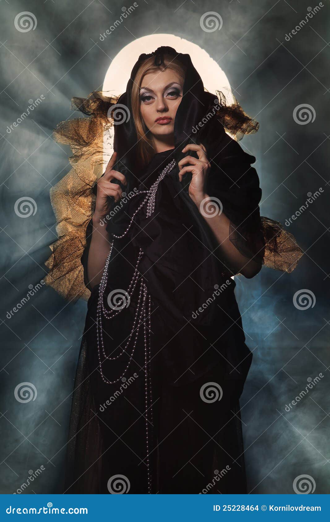 Witch in smoke stock photo. Image of fancy, elegant, hell - 25228464